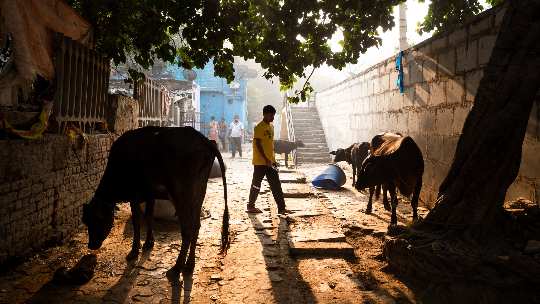 India Travel Photography